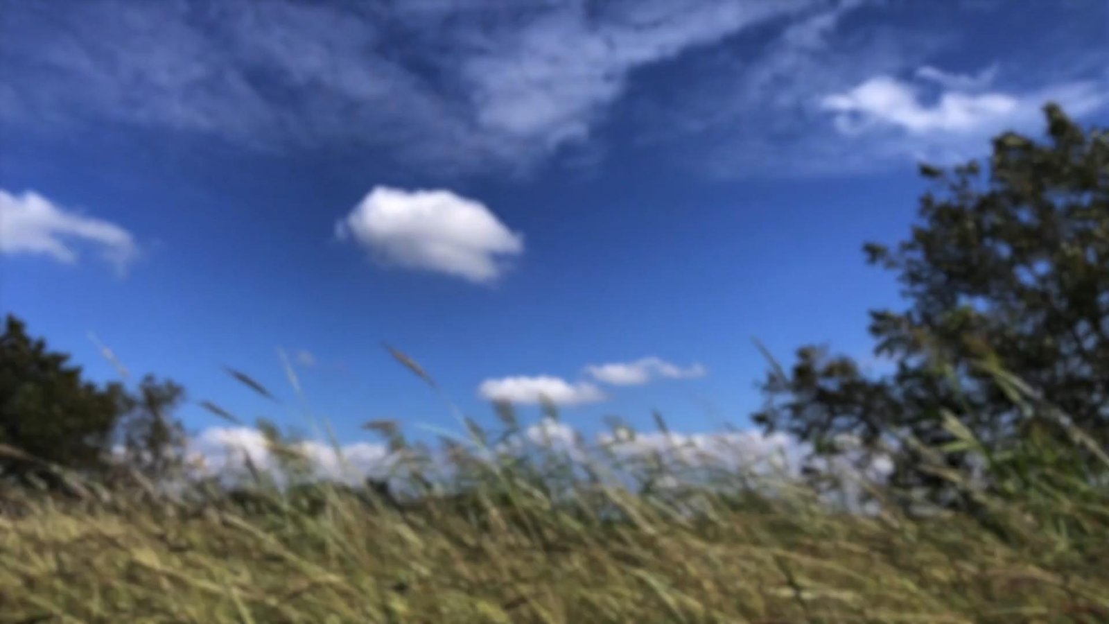 ECA Auto Parts – Driving Innovation, Defining Excellence